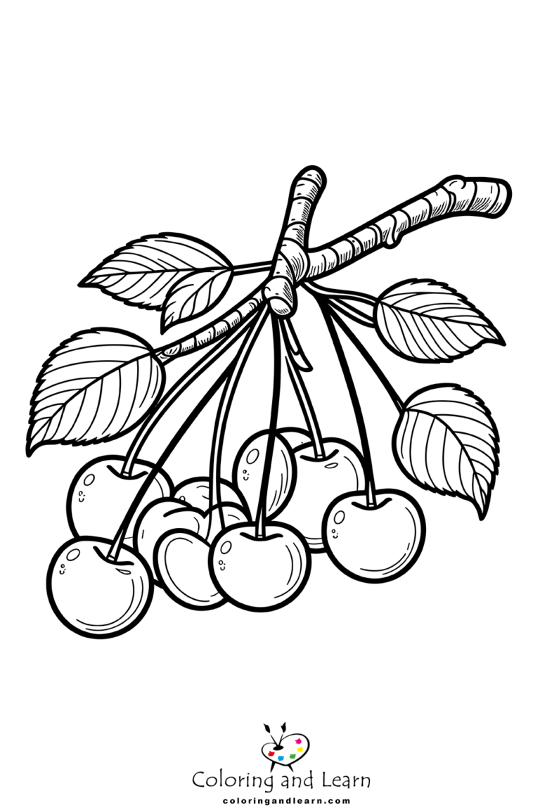 Cherry Coloring Pages (FREE) (2025) - Coloring and Learn